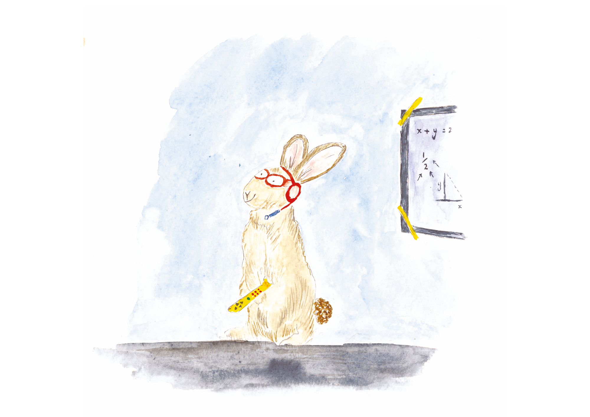 Rocket the Rabbit – Gareth Simmonds
